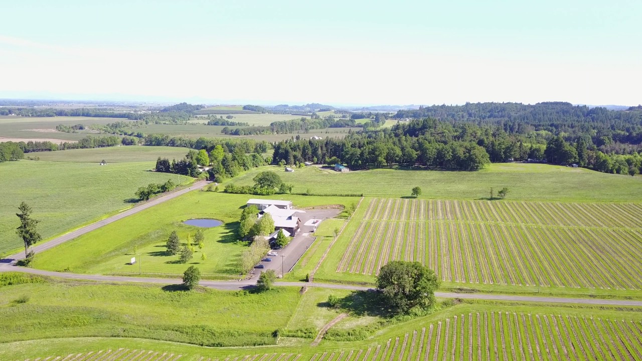 Benton-Lane Winery, Monroe, Oregon 2017 Great Aerial Footage - YouTube