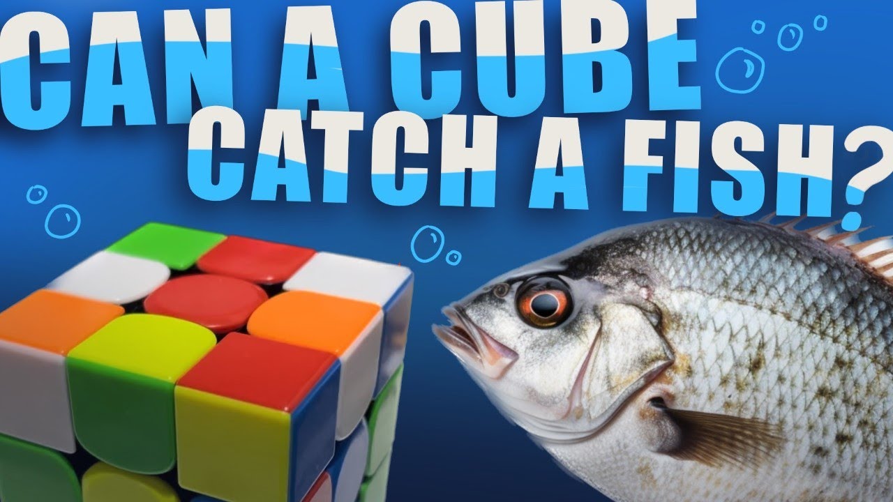 Can a Rubik's Cube Catch a Fish!? - YouTube