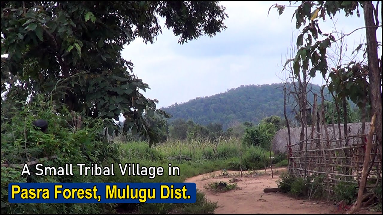 A Small Tribal Village in Pasara Forest, Mulugu dist. - YouTube