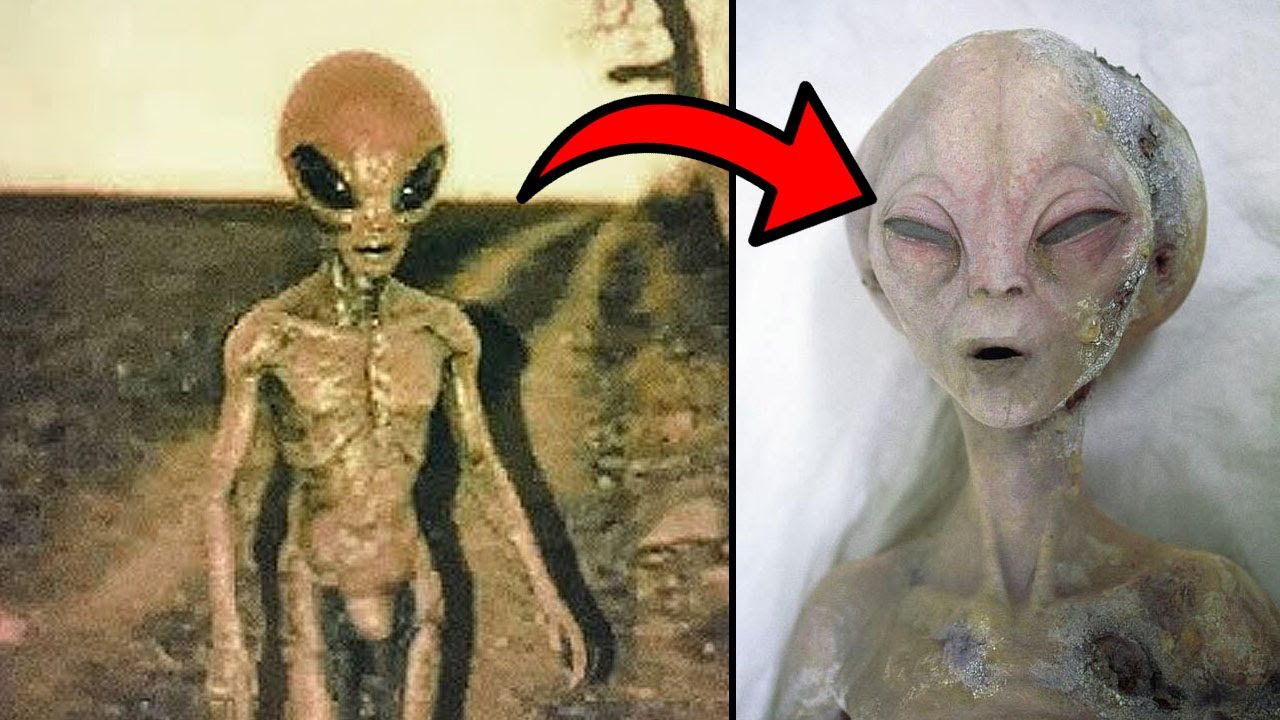 If You See This Terrifying Creatures, RUN IMMEDIATELY! 😨 - YouTube