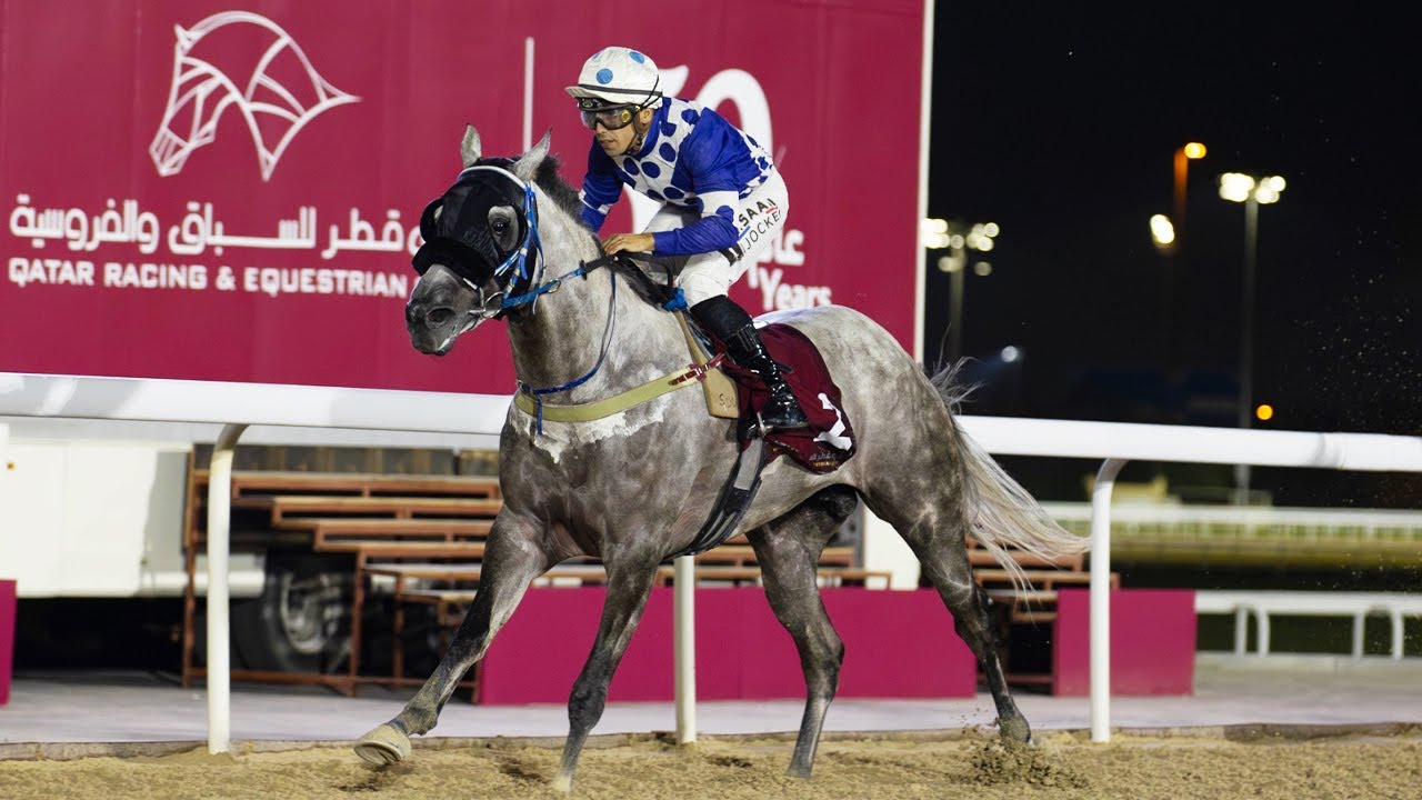 RM 3 Al Rayyan Race 6 - Asherij Cup - YouTube
