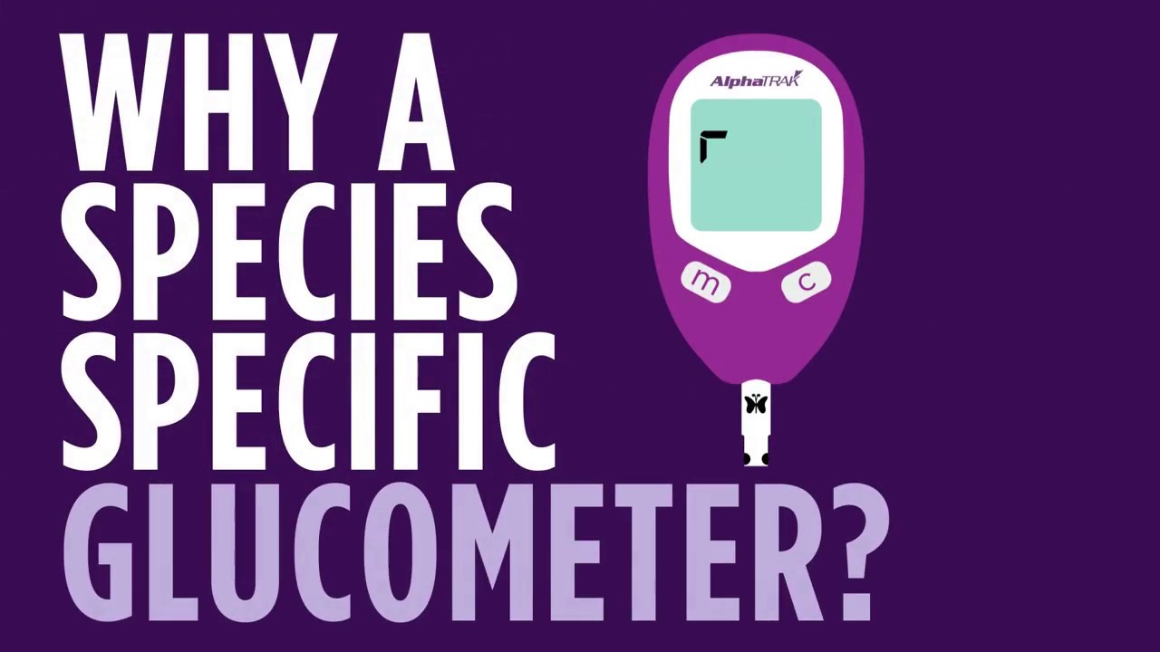 AlphaTRAK - Species Specific Glucometer - YouTube