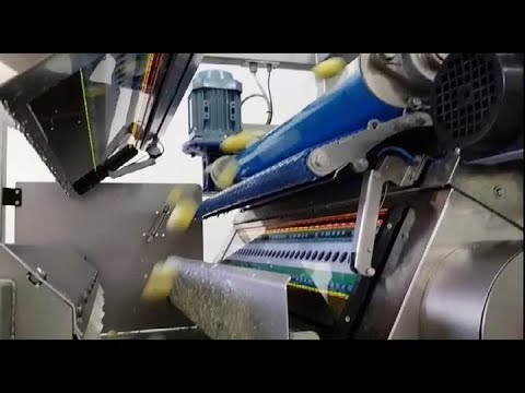 Raynbow sorting peeled potatoes | Raytec Vision - YouTube