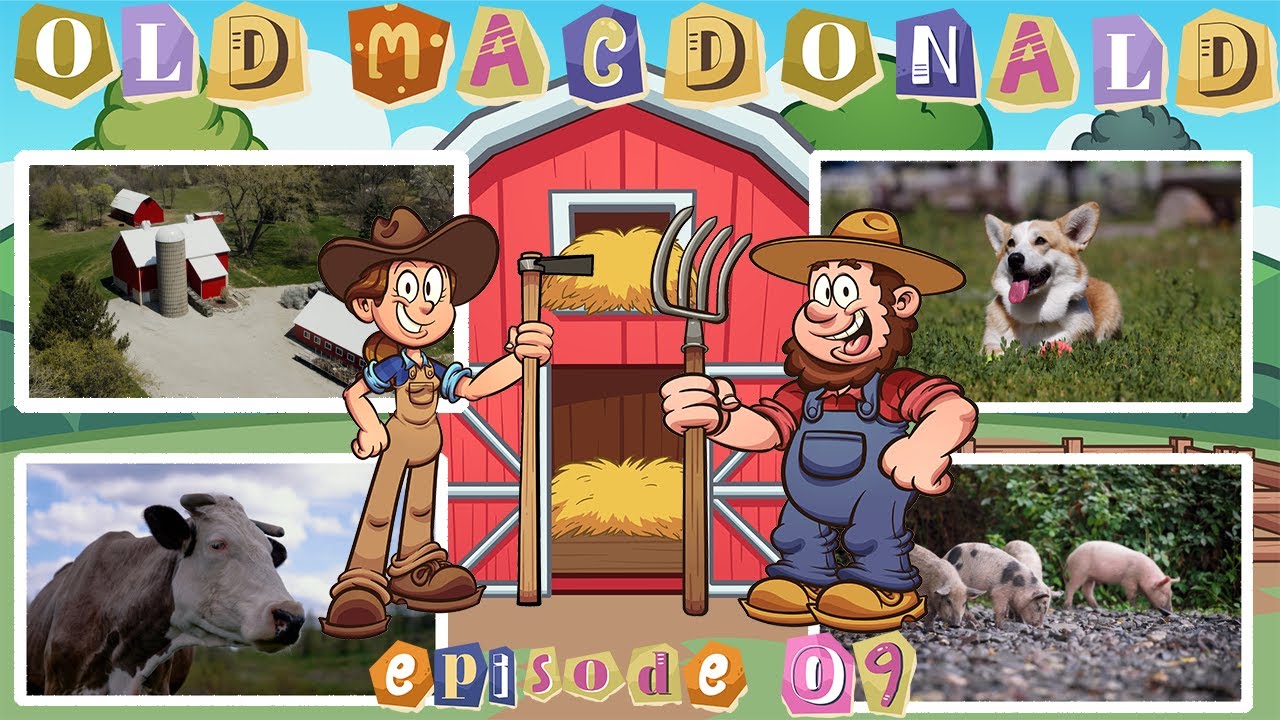 Old Macdonald Had a Farm (With Real Animal Clips) || Sheep, Cow, Dog ...