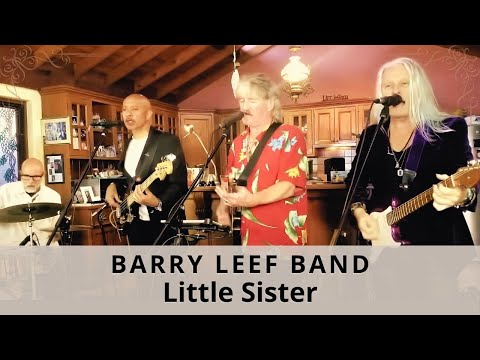 Little Sister (Elvis Presley) cover by The Barry Leef Band