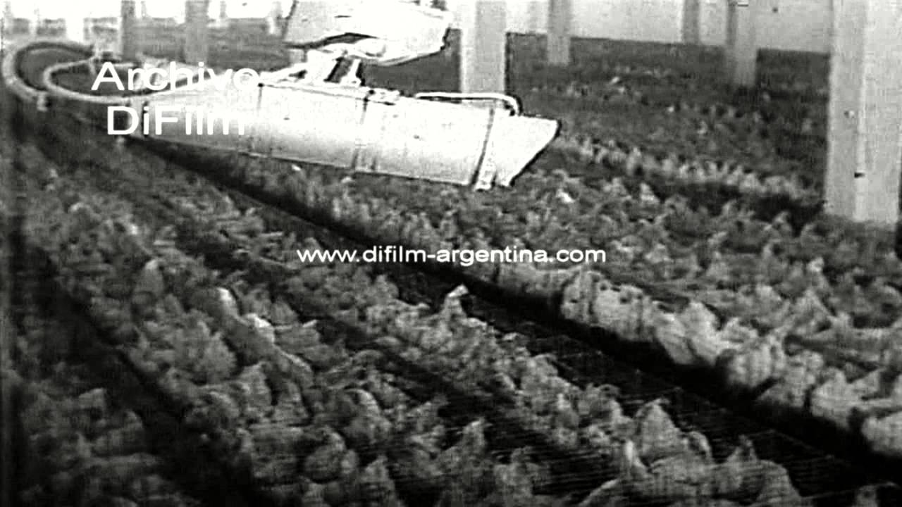 In Soviet Union Farming