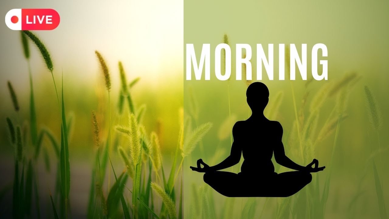 Relaxing Music 247, Healing Music, Meditation Music, Spa Music, Sleep, Zen, Study Music, Yoga ...