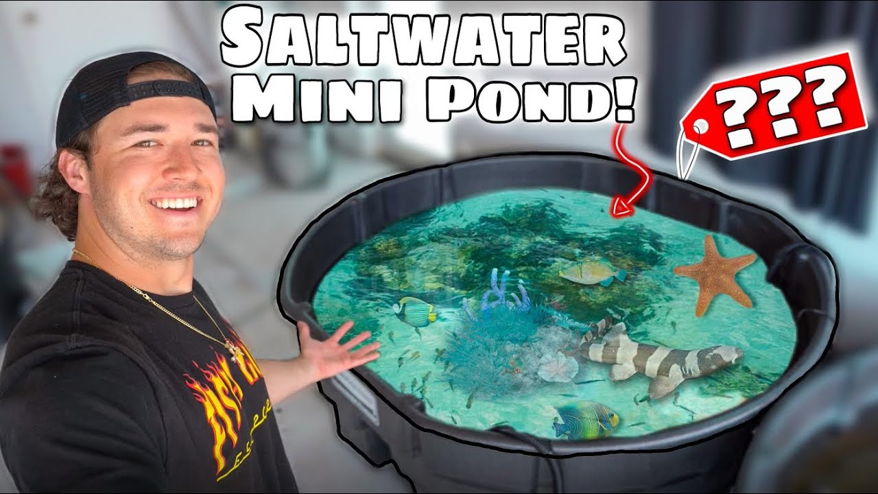 Building SALTWATER Mini Pond For My Aquarium Fish! *New* - YouTube