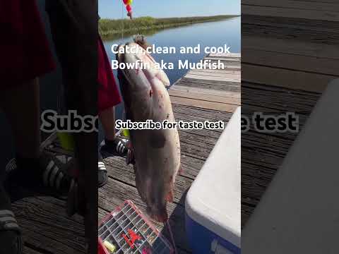 Catch clean cook mudfish bowfin taste #fishing #florida #tastetest # ...