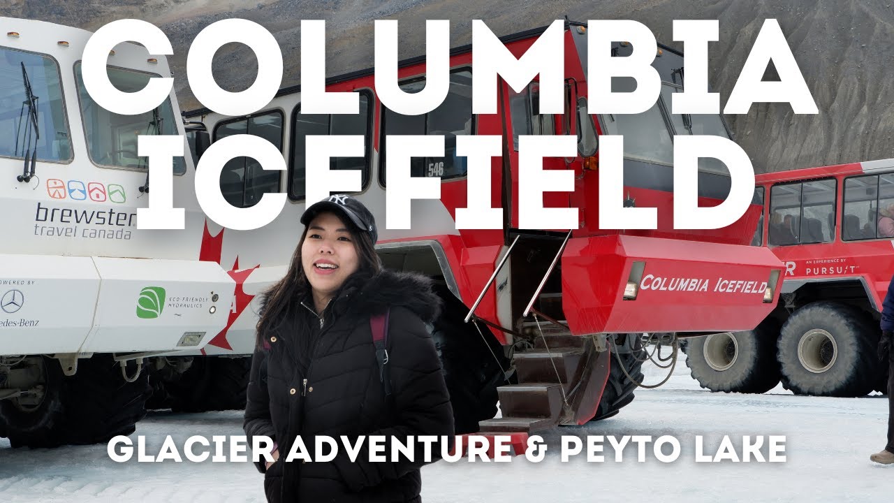 Peyto Lake & Columbia Icefield Glacier Adventure & Skywalk, Alberta ...