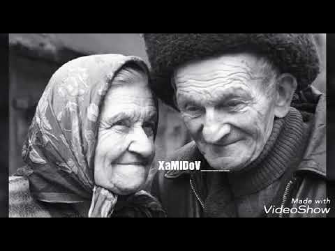 Instagram ucun videolar