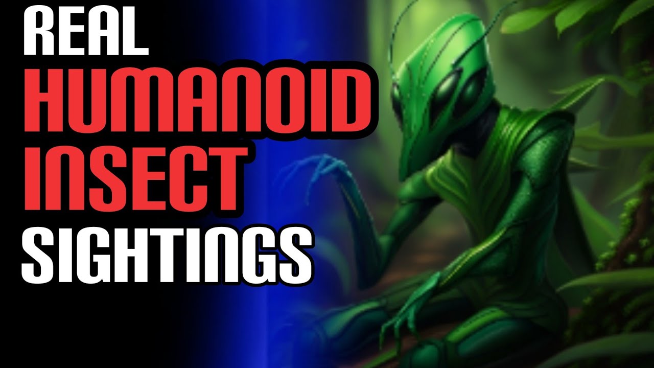 True Cryptid Encounter Stories From Viewers | Insect or Mantis Humanoid Creatures - YouTube