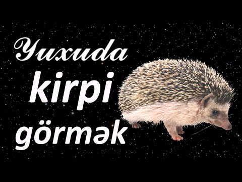Yuxuda kirpi görmək ☾✵ Qısa #yuxuyozma - SƏSLİ YUXU YOZMALARI