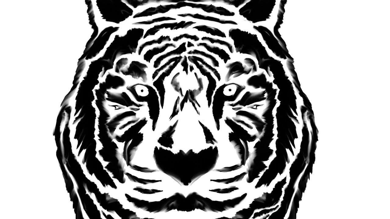 Menggambar Harimau | Drawing Tiger black and white #menggambar #drawing ...
