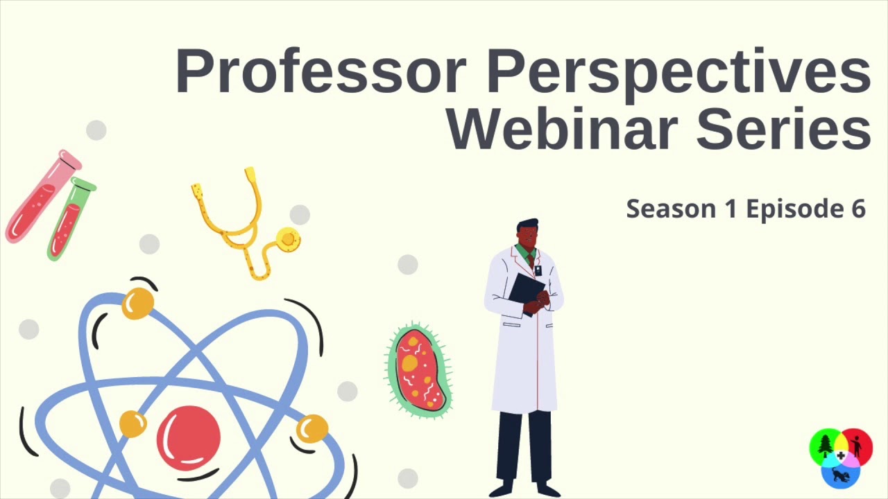 Interview with Professor Margarida Simoes (Portugal) - PhD - YouTube