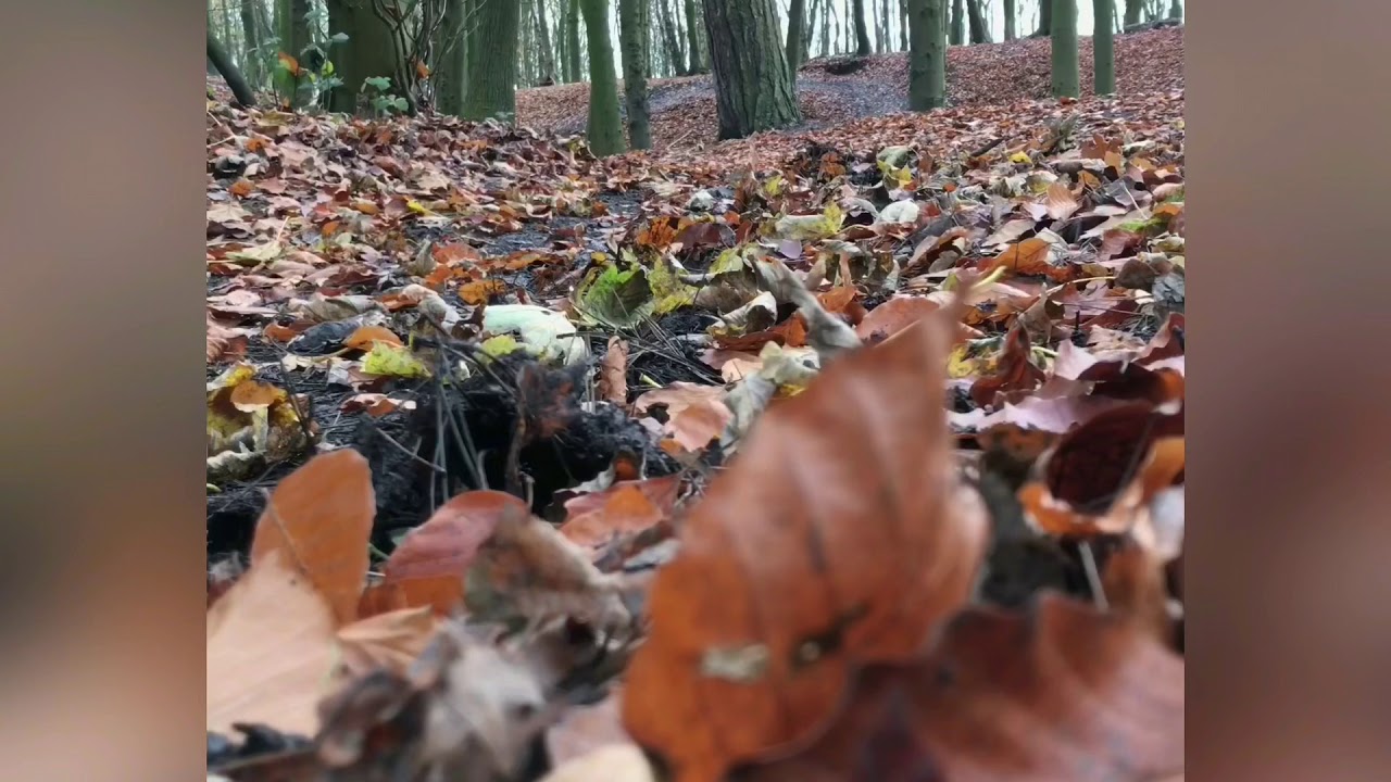 Bickerstaffe bike park dans slalom dans drop- black run - jump - YouTube