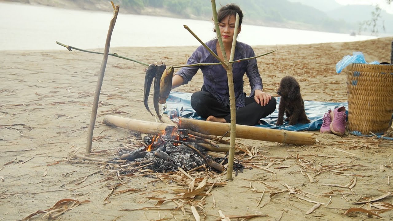 Catch fish on the riverbank and make delicious grilled fish | Tam - YouTube
