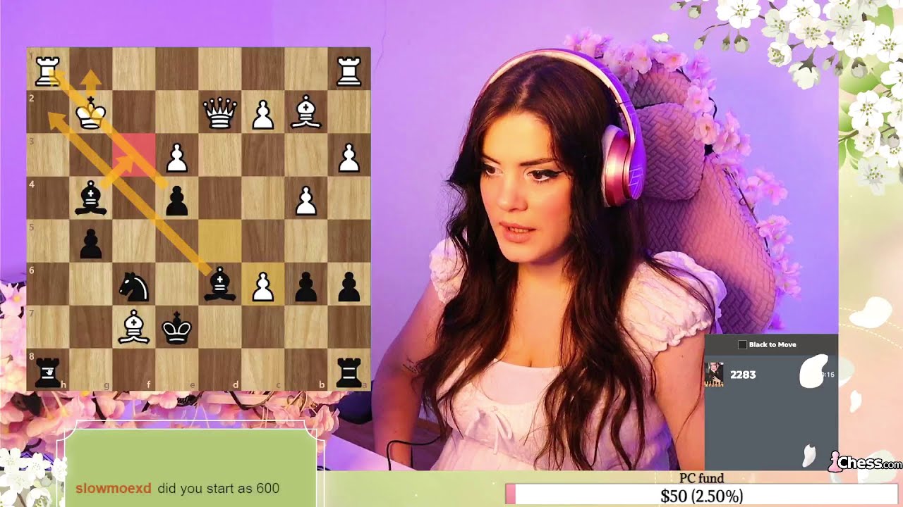 BEST Chess Daily Twitch Moments #267 - YouTube