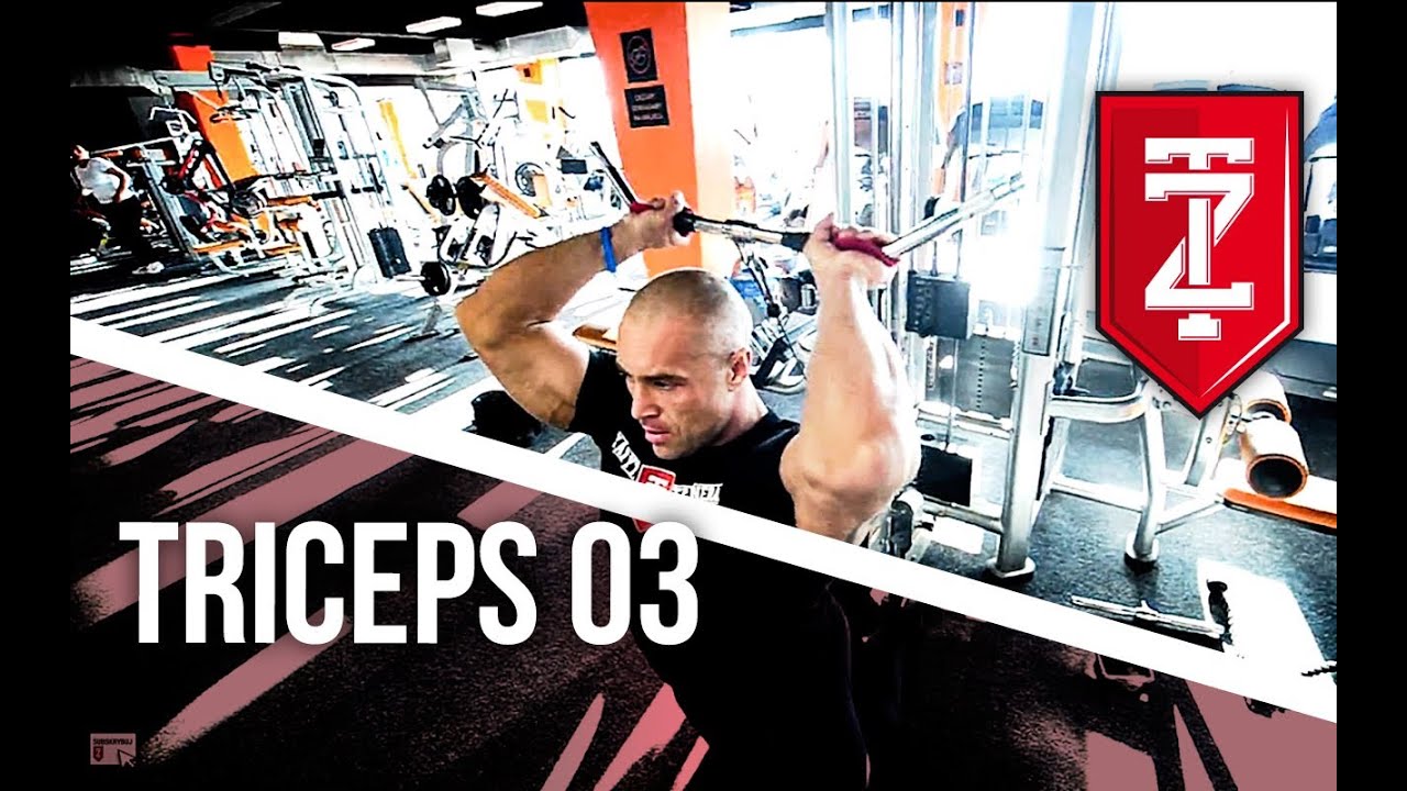 Atlas ćwiczeń: Ćwiczenia na triceps - Trening na maszynach: Michał ...
