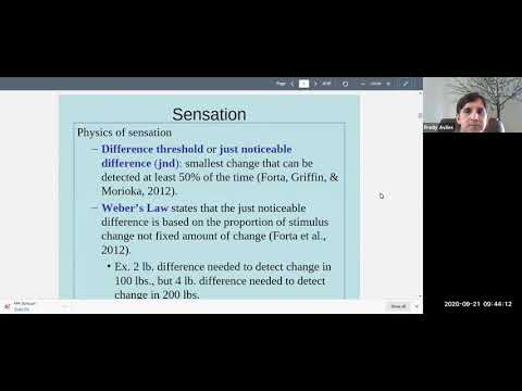 Psychology 101 Chapter 5 (Sensation & Perception) Lecture Part 1 - YouTube