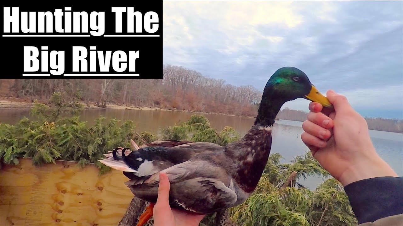 Duck Hunting 2017 : First Big Water Hunt This Season - YouTube