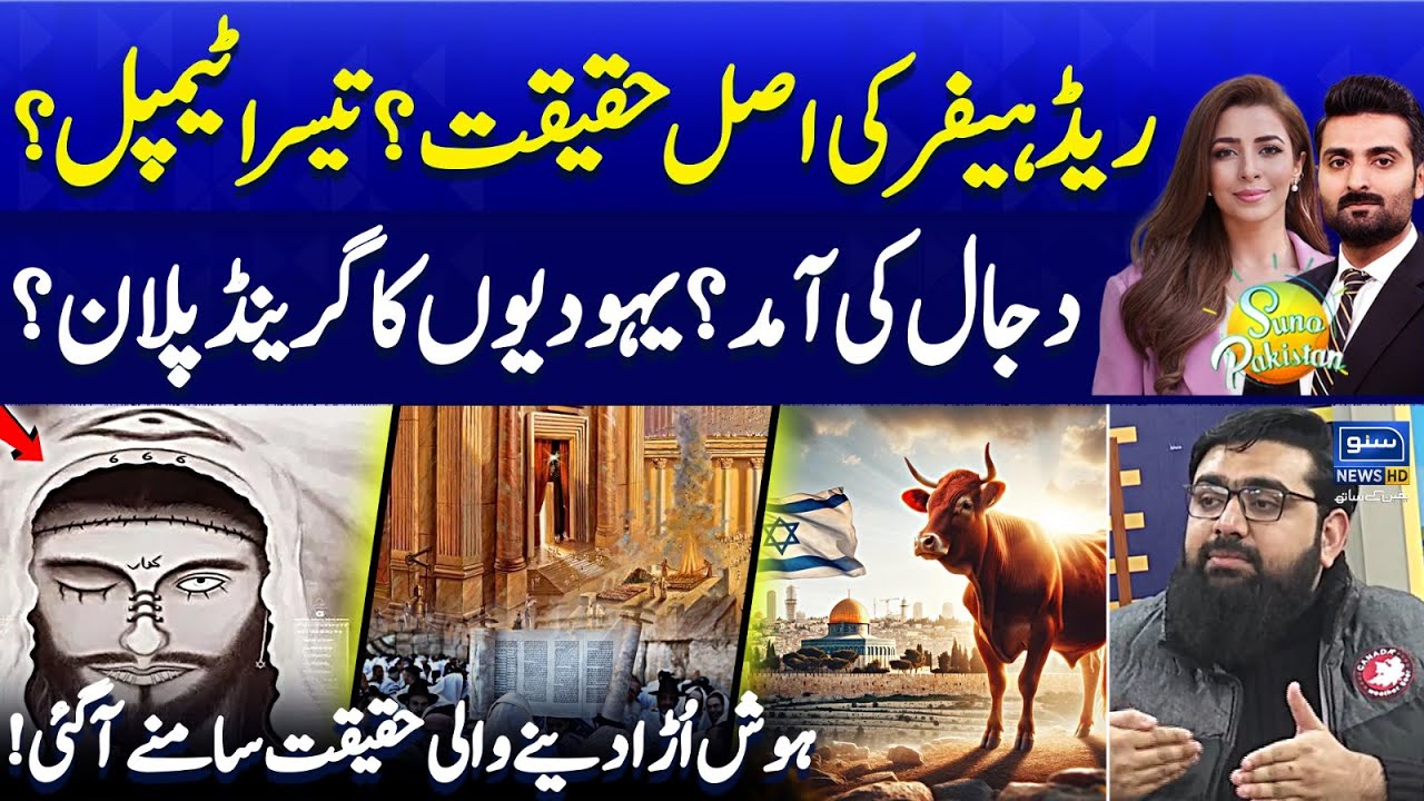 Red Heifer Truth Revealed | 3rd Temple & Dajjal’s Arrival | Jewish ...