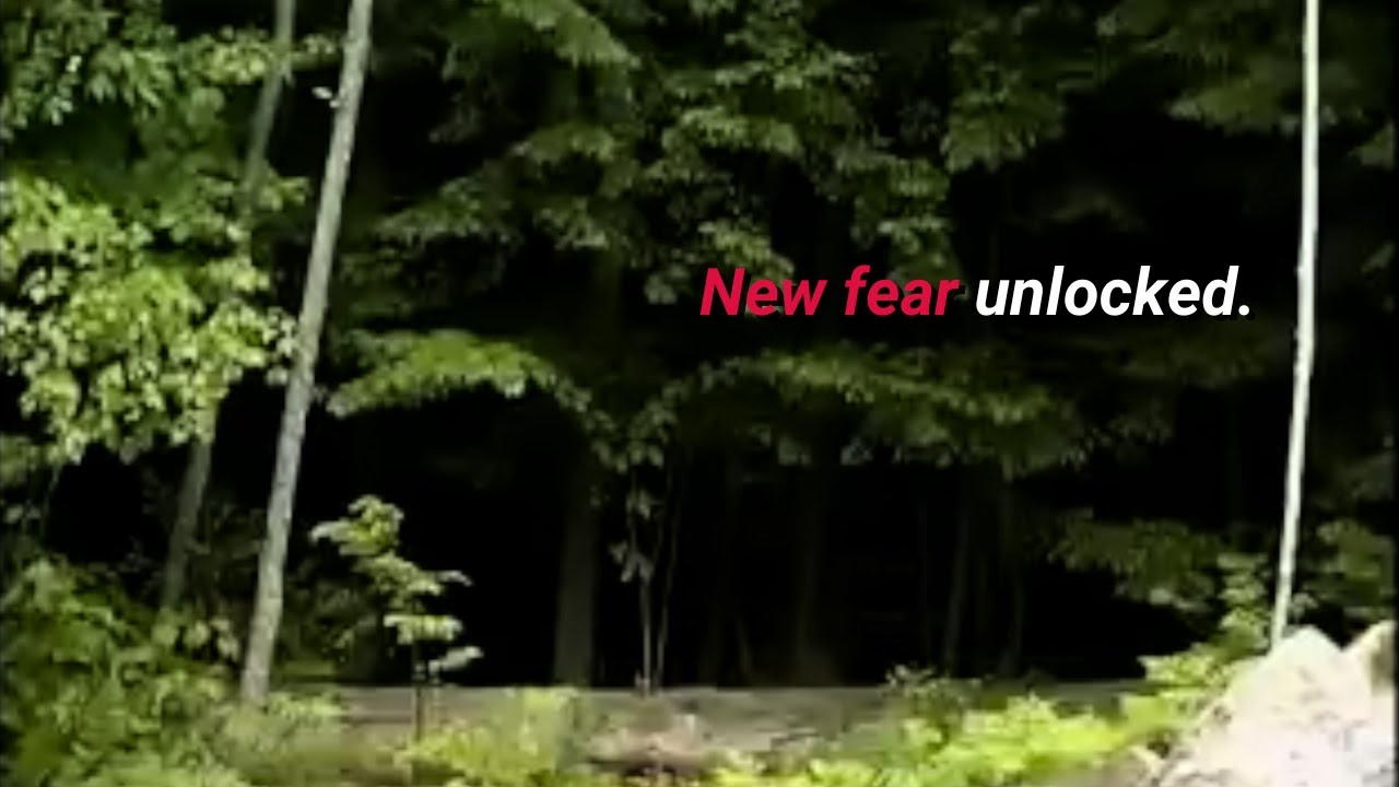 6 Most Disturbing Forest Encounters Caught on Camera - YouTube