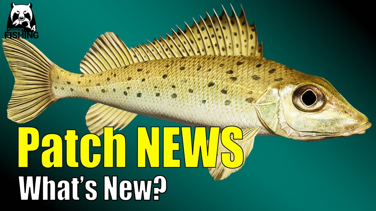 Russian Fishing 4 - Winding Rivulet - 🎣What’s New? Patch News & New ...