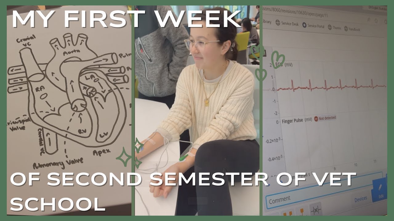 My First Week Back at Vet School | Vet School Vlog #7 - YouTube