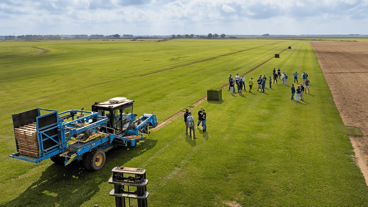 Woerner Farms - Cobalt Hybrid St. Augustine Field Day 2024 - YouTube