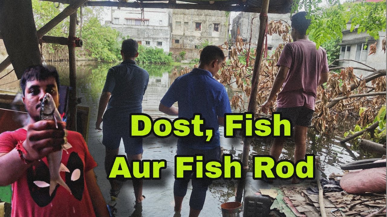 Vlog 17: Dost, Fish aur Fishing Rod - YouTube