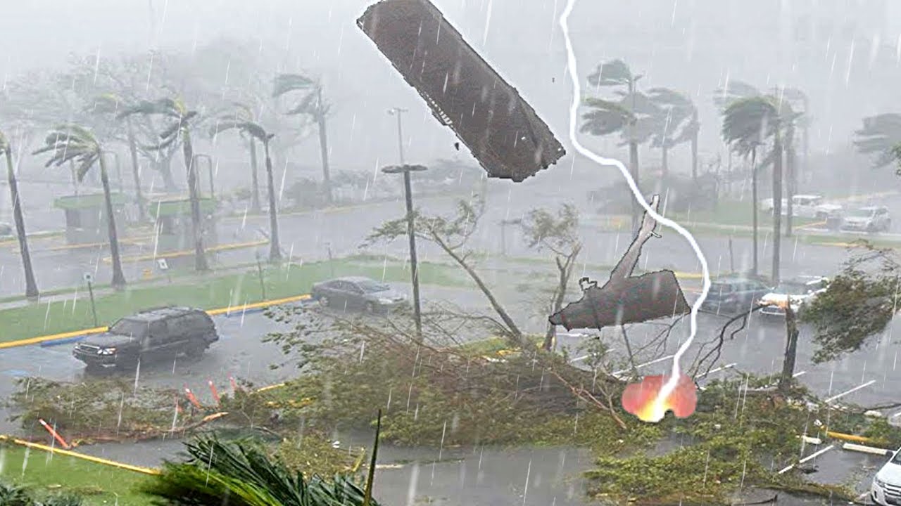 Strong storm has paralyzed Spain! Gusts of wind demolish trees in ...