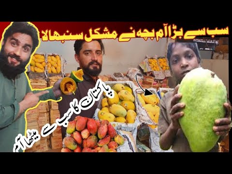 Mango season Pakistan | White chonsa, Sindhri, Anwar Ratool | daily ...