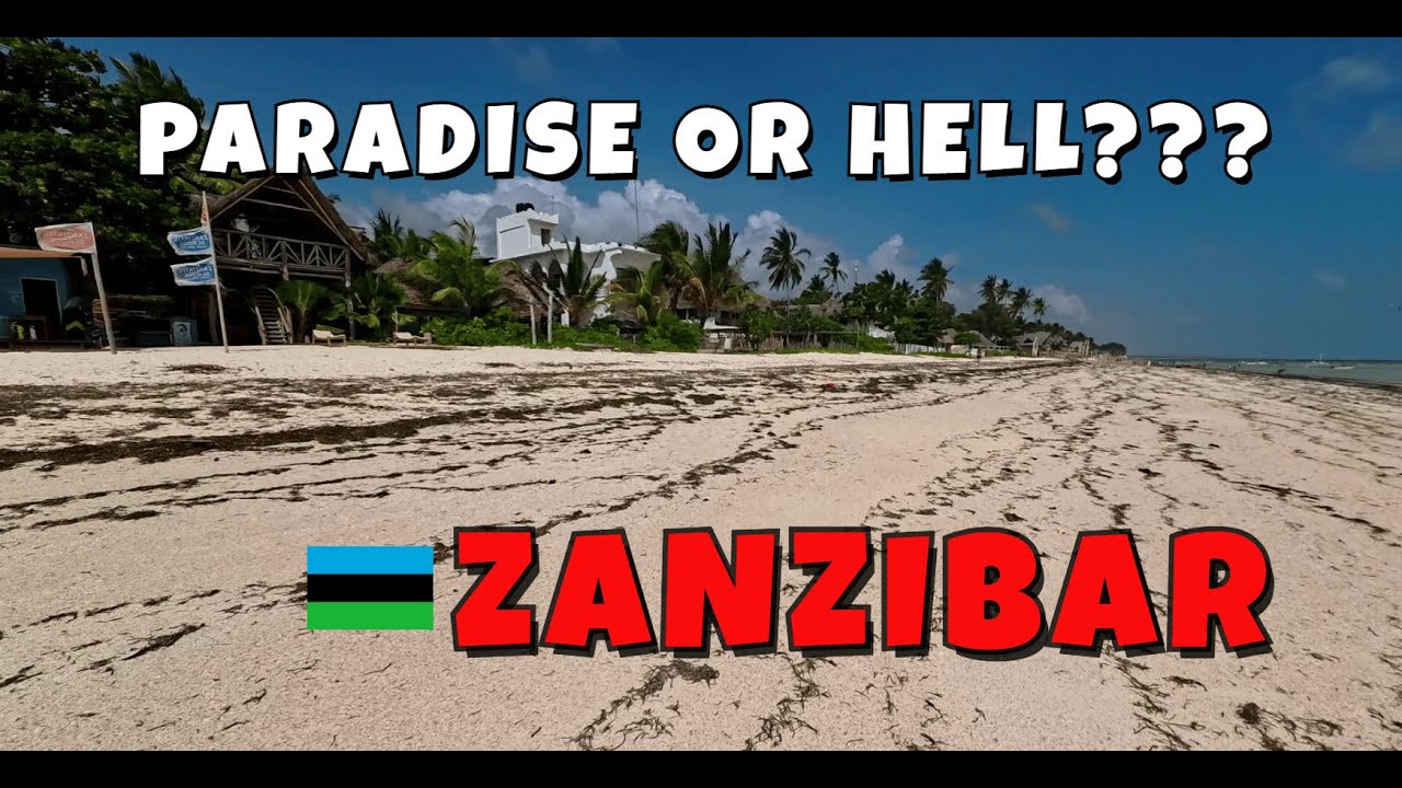 Zanzibar (part 3): The price of paradise is poverty and exploitation ...
