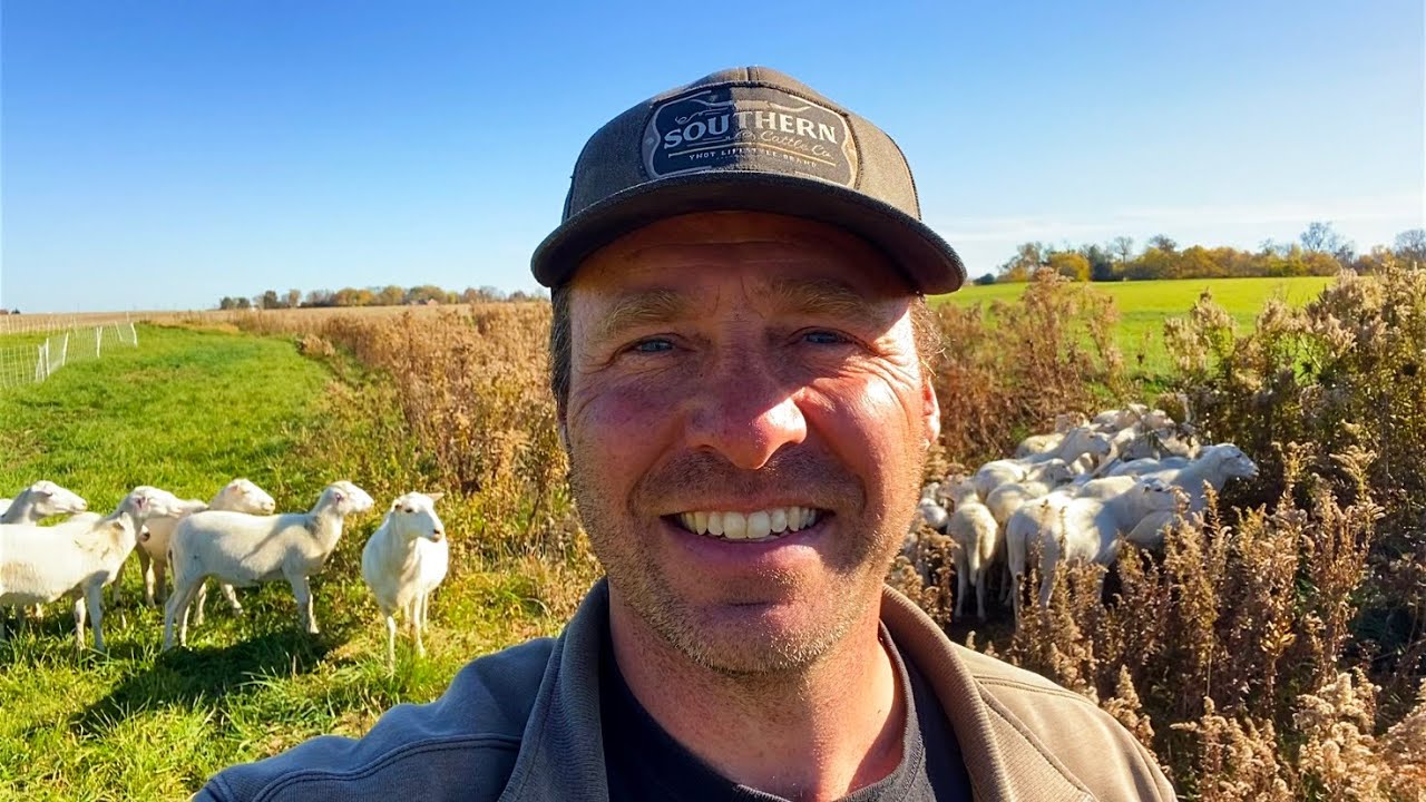 Our Most Productive Grass-Fed Animal on the Farm - YouTube