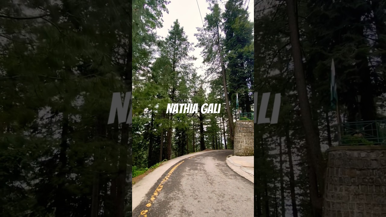 Nathia Gali walk from Dunga Gali to main Bazaar #hiking #nathiagali # ...
