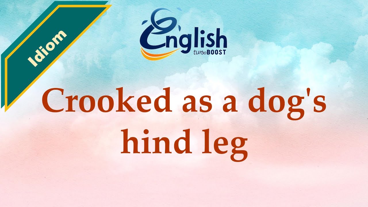 Crooked as a dog's hind leg - Meaning & Examples | Learn English Idiom ...