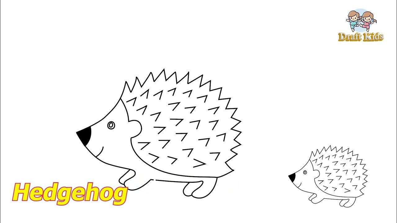 How to draw a Hedgehog for kids | Hedgehog Drawing Lesson - YouTube