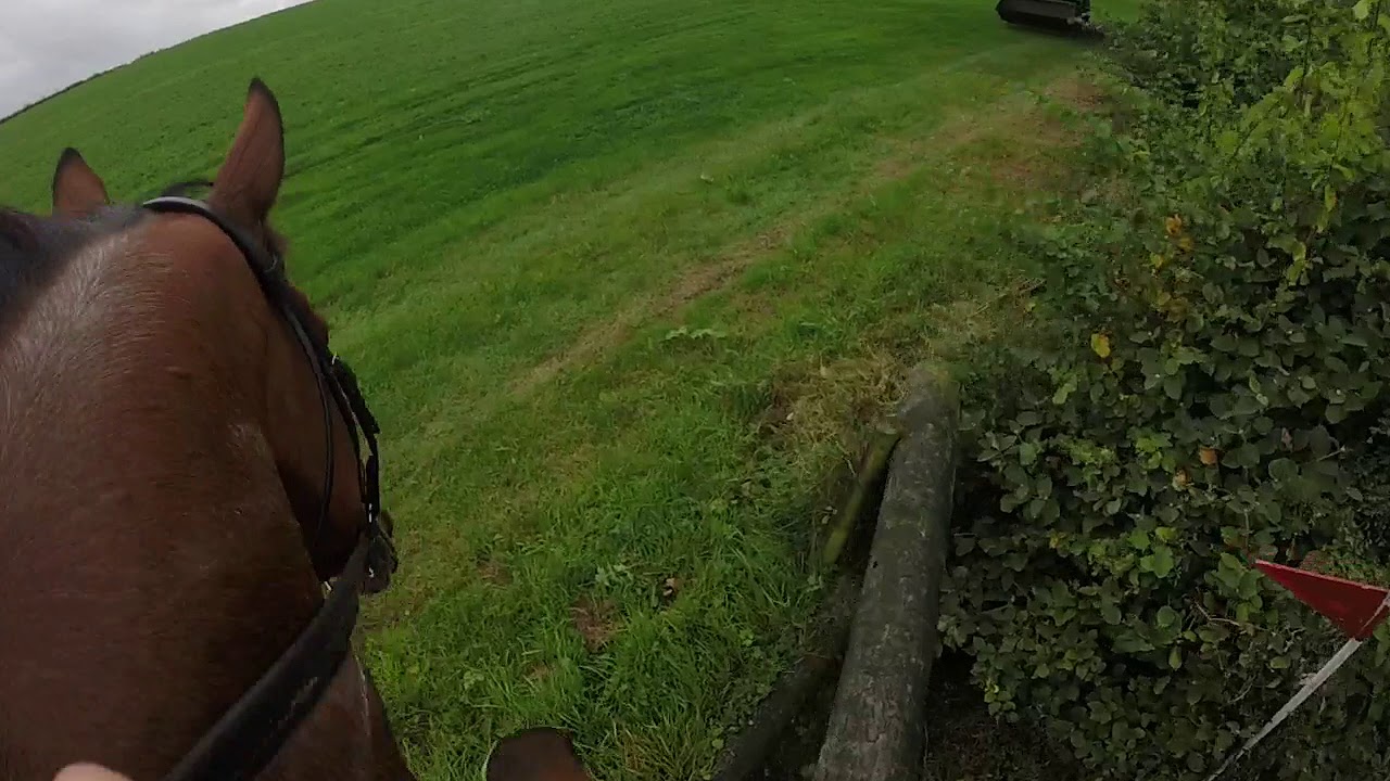 (5) Toomer Farm - XC Schooling - Open course - King Koda - Sept 2017 ...