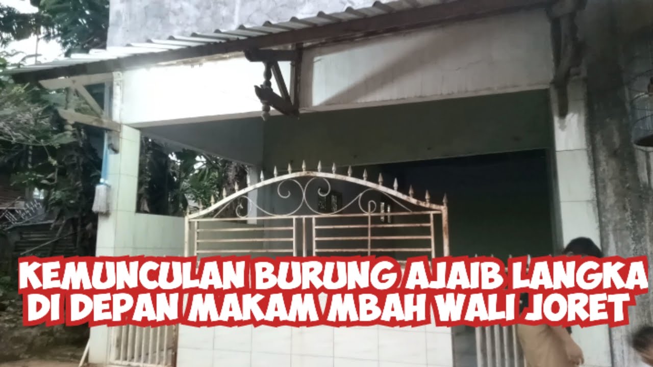 MUNCULNYA BURUNG AJAIB DEPAN MAKAM KRAMAT MBAH WALI JORET - YouTube