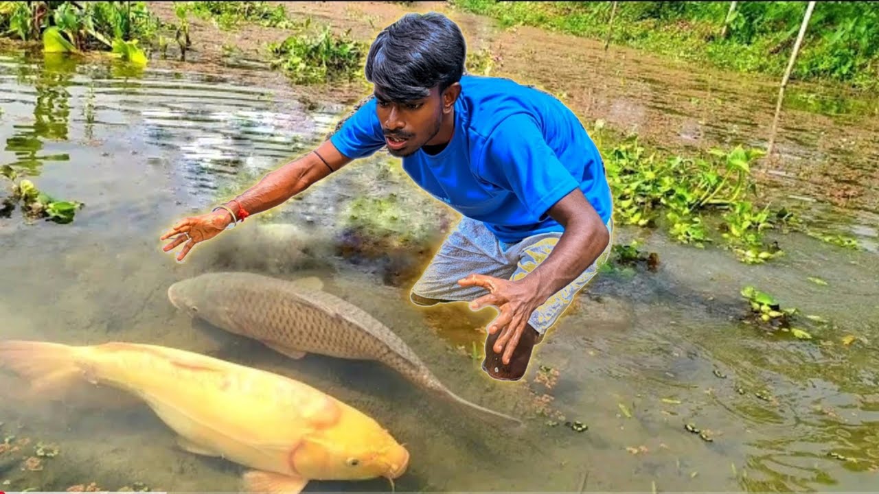 Adventure Hand Fishing video 🐬 | Best Hand Fishing video 2025 😱 | - YouTube