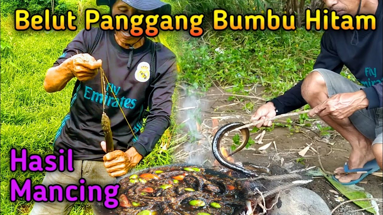 Berburu Belut Air Tawar Langsung Dimasak Di Alam - YouTube