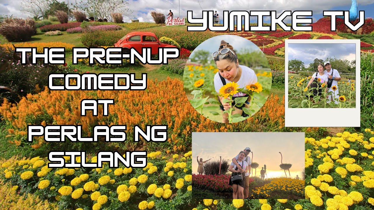 The Pre-nup #entertainment #prenupideas #prenup #viralvideo #funny # ...