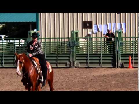 Shahdeen Arabian reining stallion - YouTube