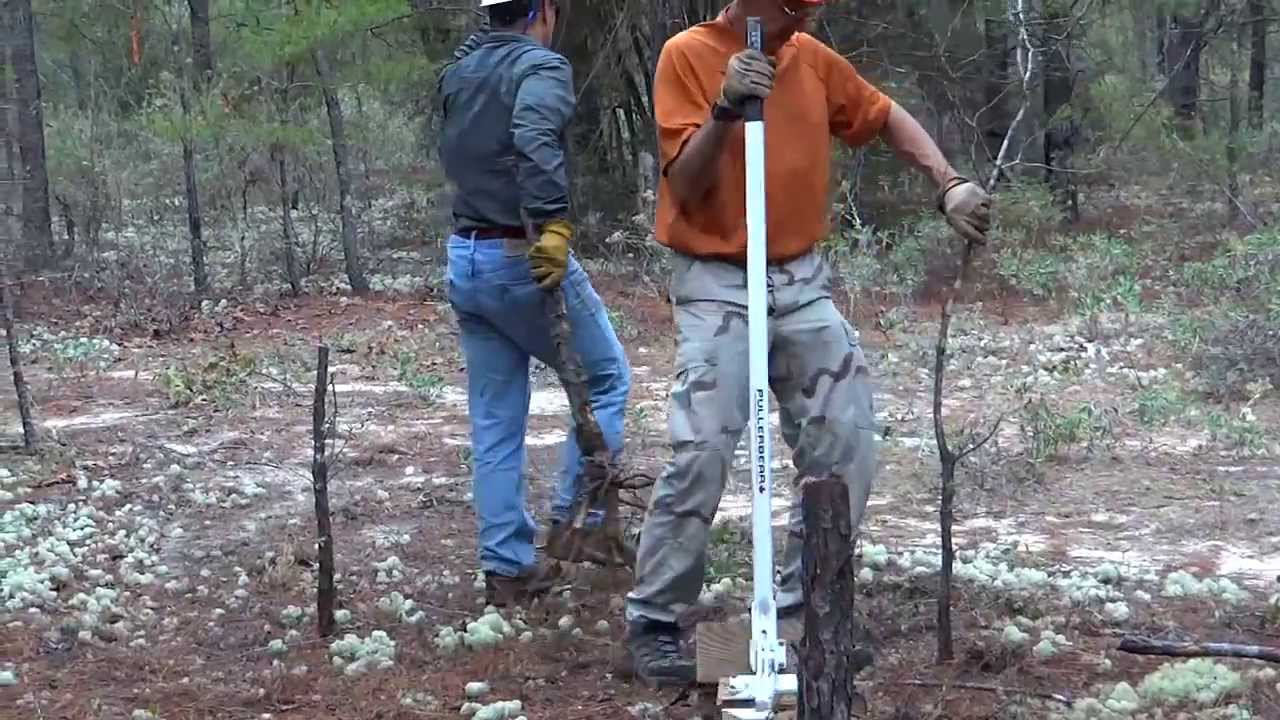 Florida Trail: Pullerbear Teamwork - YouTube