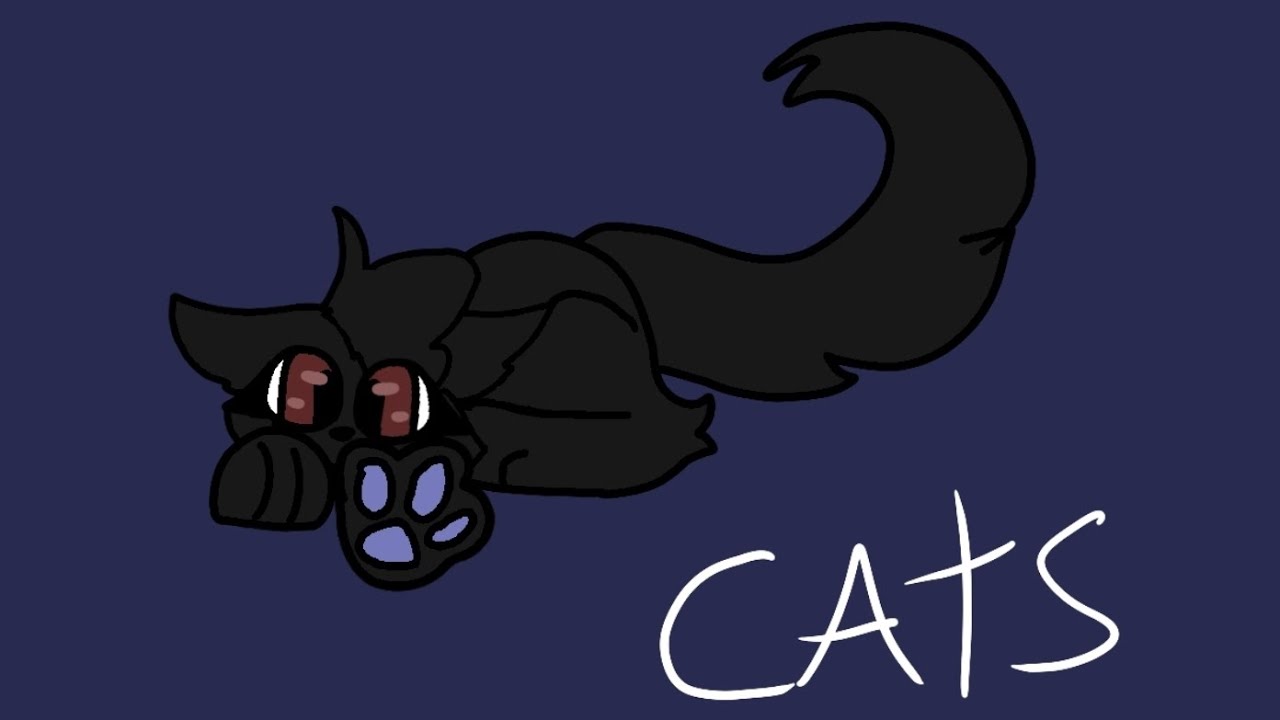 ☆Cats☆Animation meme☆ - YouTube