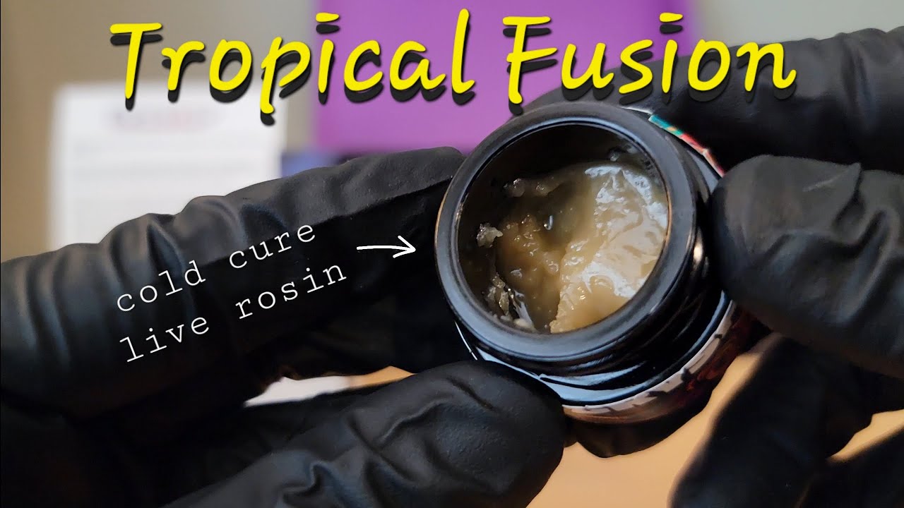 Tropical Fusion - Cold Cure Live Rosin from Crysp - THCa Review - YouTube