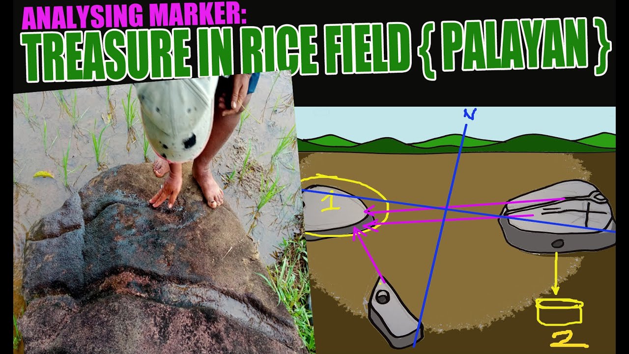 TREASURE IN THE RICE FIELD {PALAYAN} - YouTube
