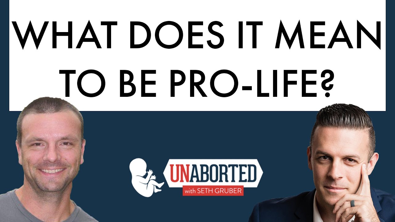 What Does It Mean To Be Pro-Life? | A Whole-Life vs Pro-Life Debate ...