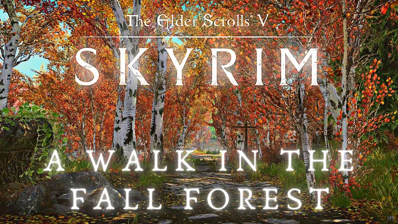 A Walk In The Fall Forest - Walking Across All of Skyrim p.11 | Skyrim ...